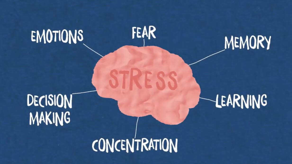 Working Towards Wellbeing Video Series - Black Dog Institute | Better ...