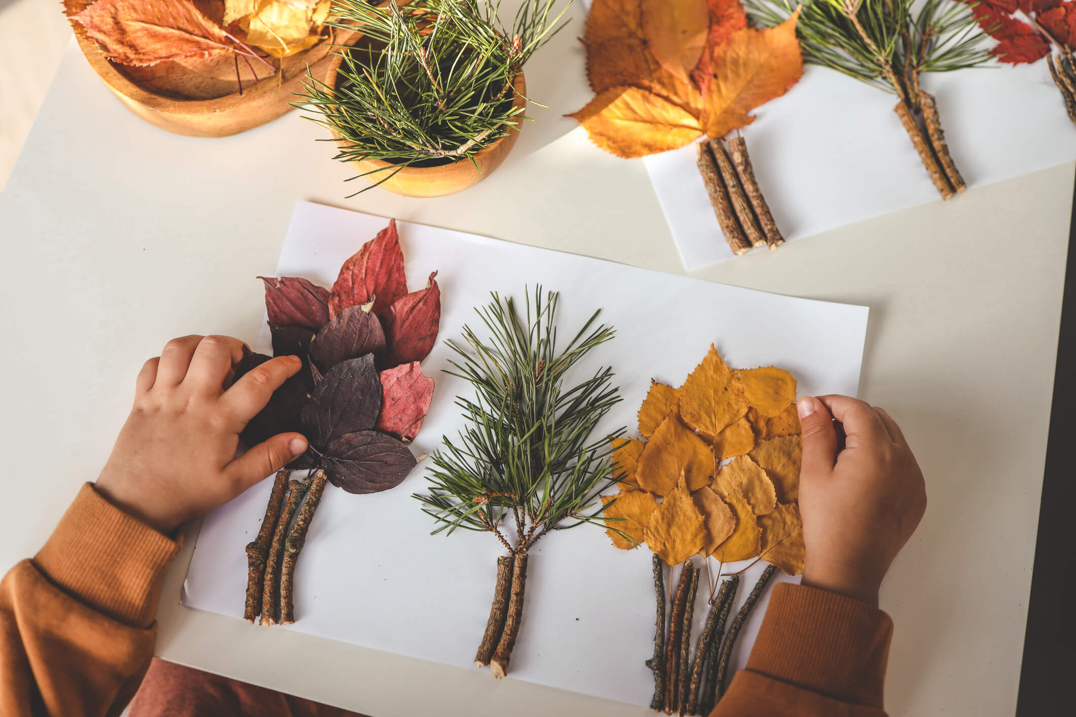 Creative Acts for Climate Feelings - Black Dog Institute | Better ...